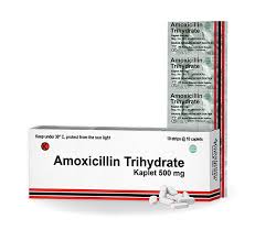 AMOXICILLIN 500MG RAMA BOX/100 KAP – Recolite Online Order Pharmacy