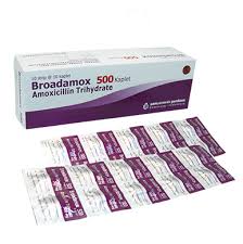 BROADAMOX 500MG BOX/100 KAP – Recolite Online Order Pharmacy